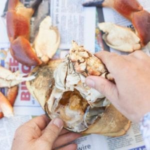 How to prepare fresh crab - delicious. magazine