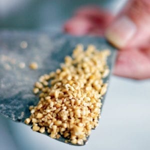 Notes on oats: The different types of oats explained - delicious. magazine