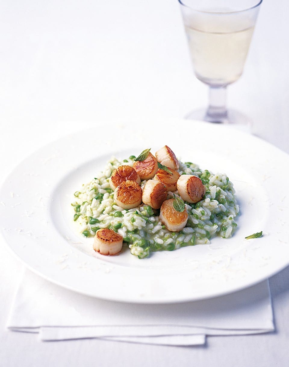 Seared scallops on pea and mint risotto recipe | delicious. magazine