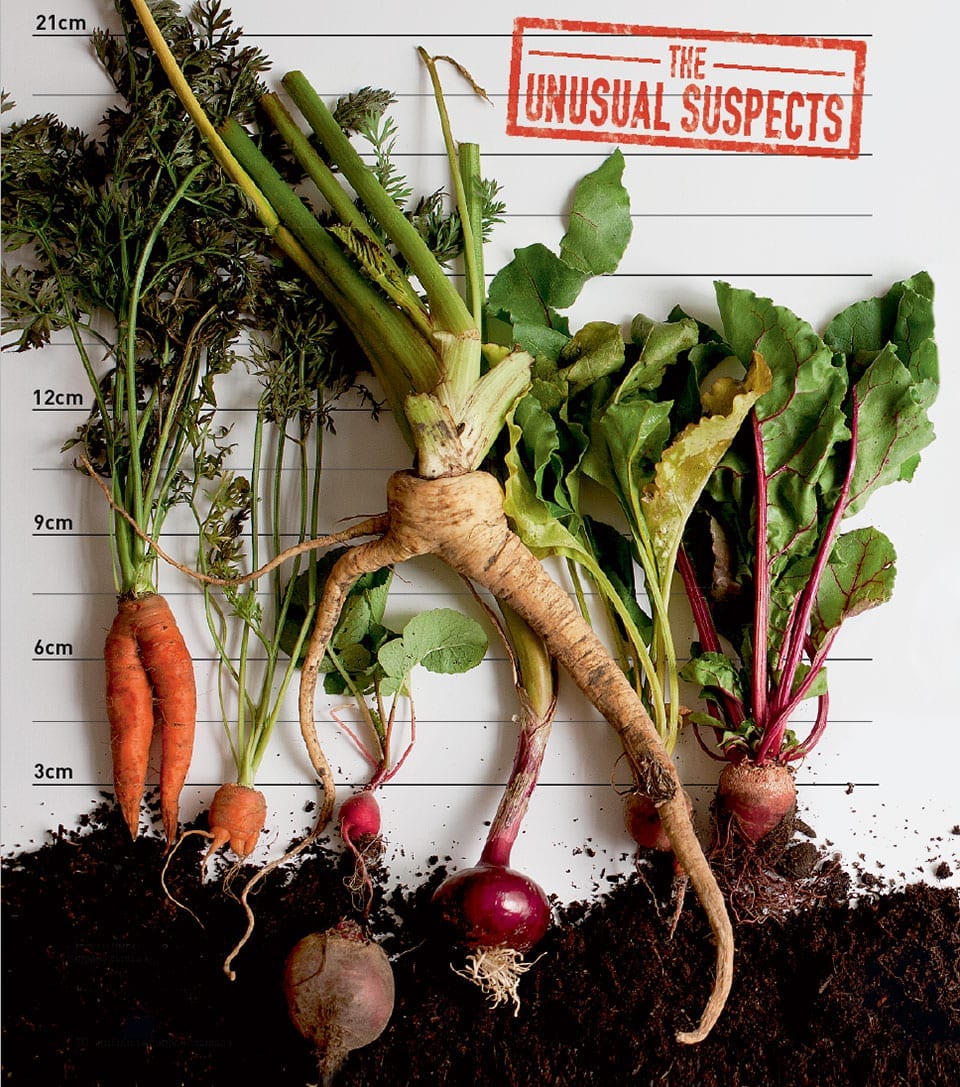 We love knobbly veg! - delicious. magazine