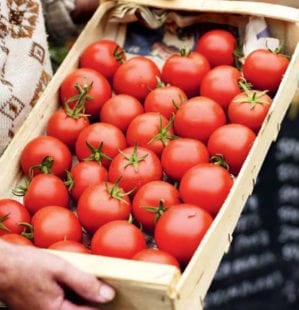 Tomato calzone recipe | delicious. magazine