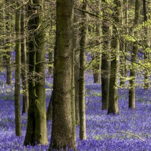 20 fun things to do over the Easter weekend - delicious. magazine